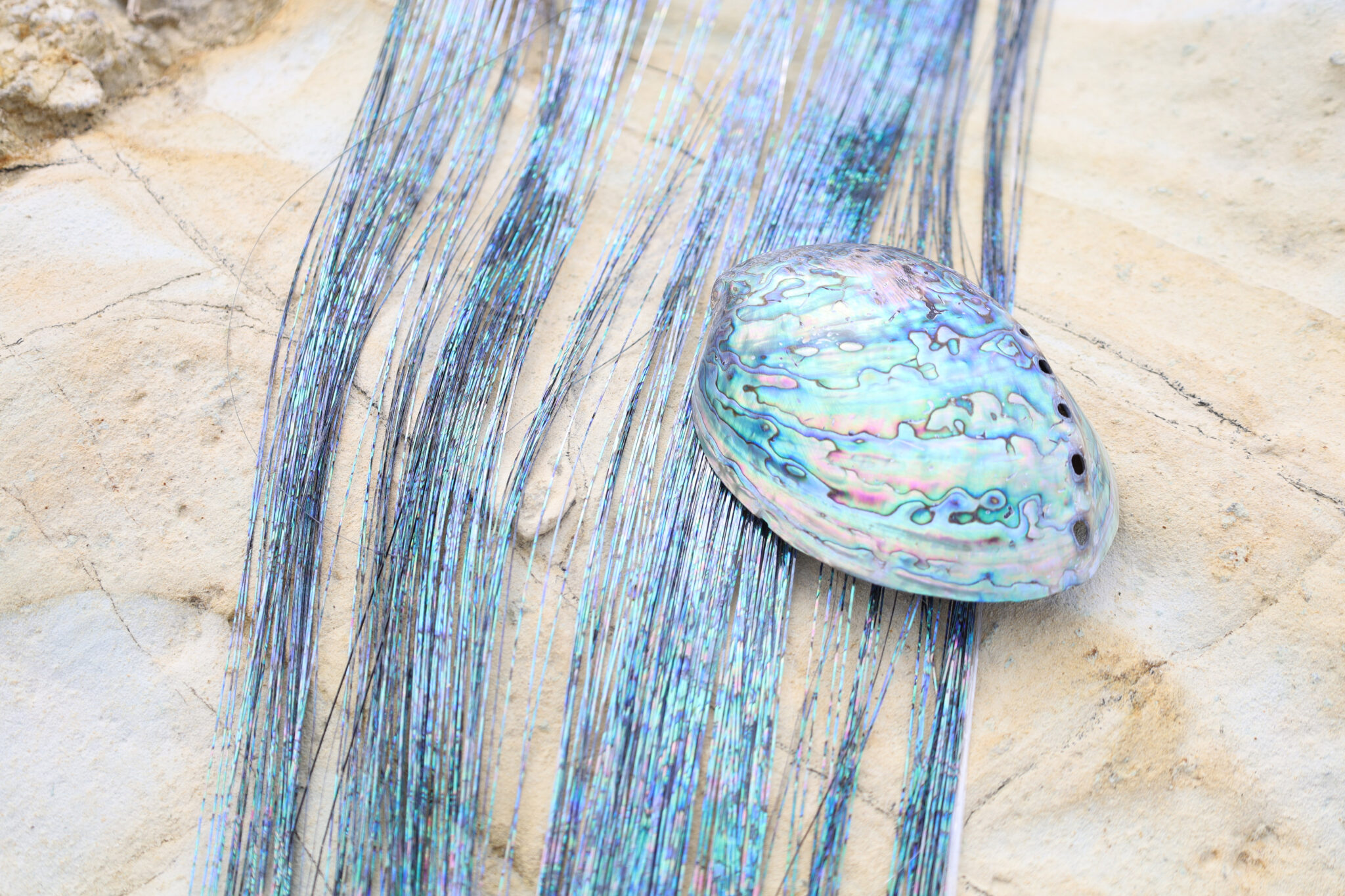 TAMIYA RADEN | THE SILK